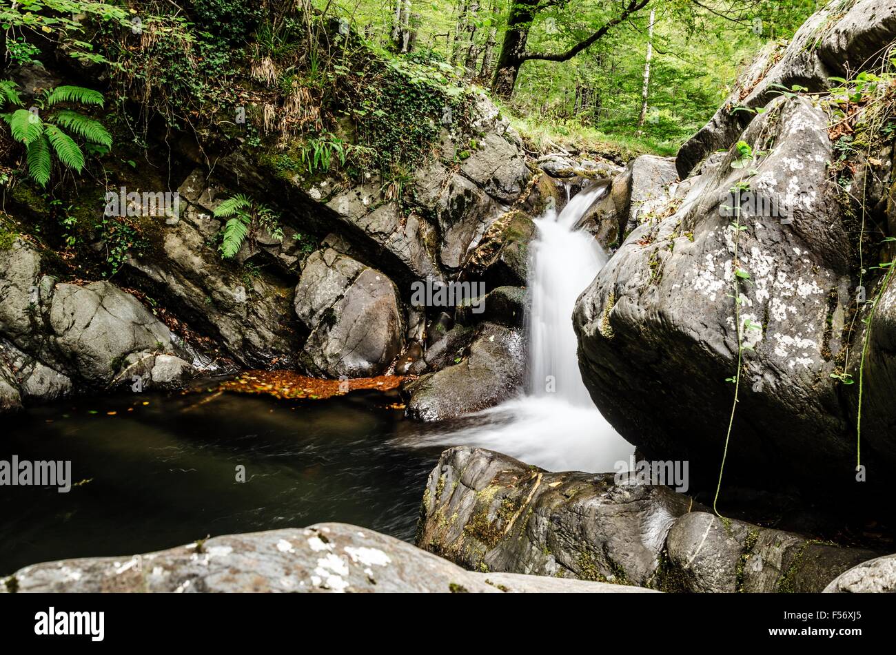 Vibrant cascade hi-res stock photography and images - Alamy