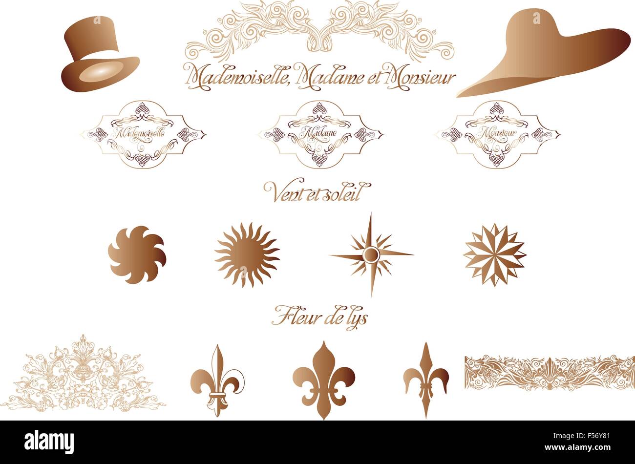 calligraphic French design elements isolated on white - eps10 vector ...