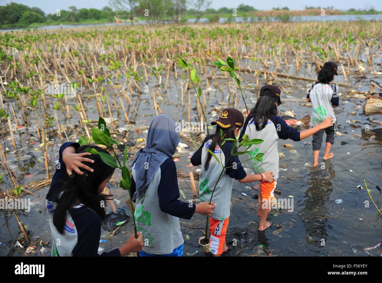 Jakarta, Indonesia. 29th Oct, 2015. School children walk to plant ...