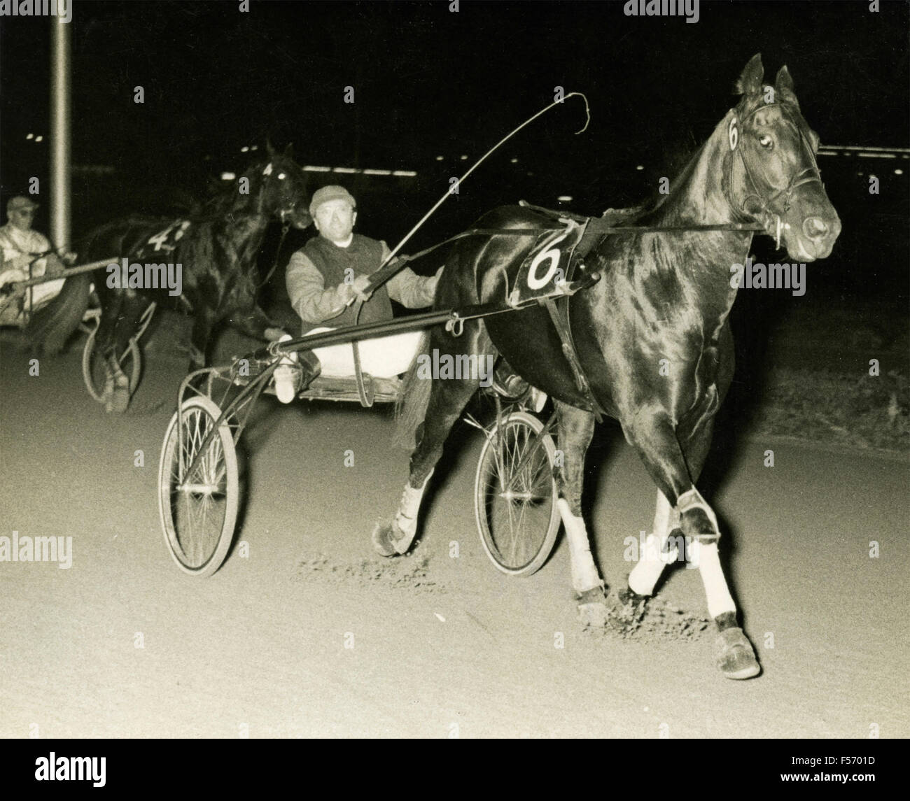 Horse with sulky racing trot, Italy Stock Photo - Alamy