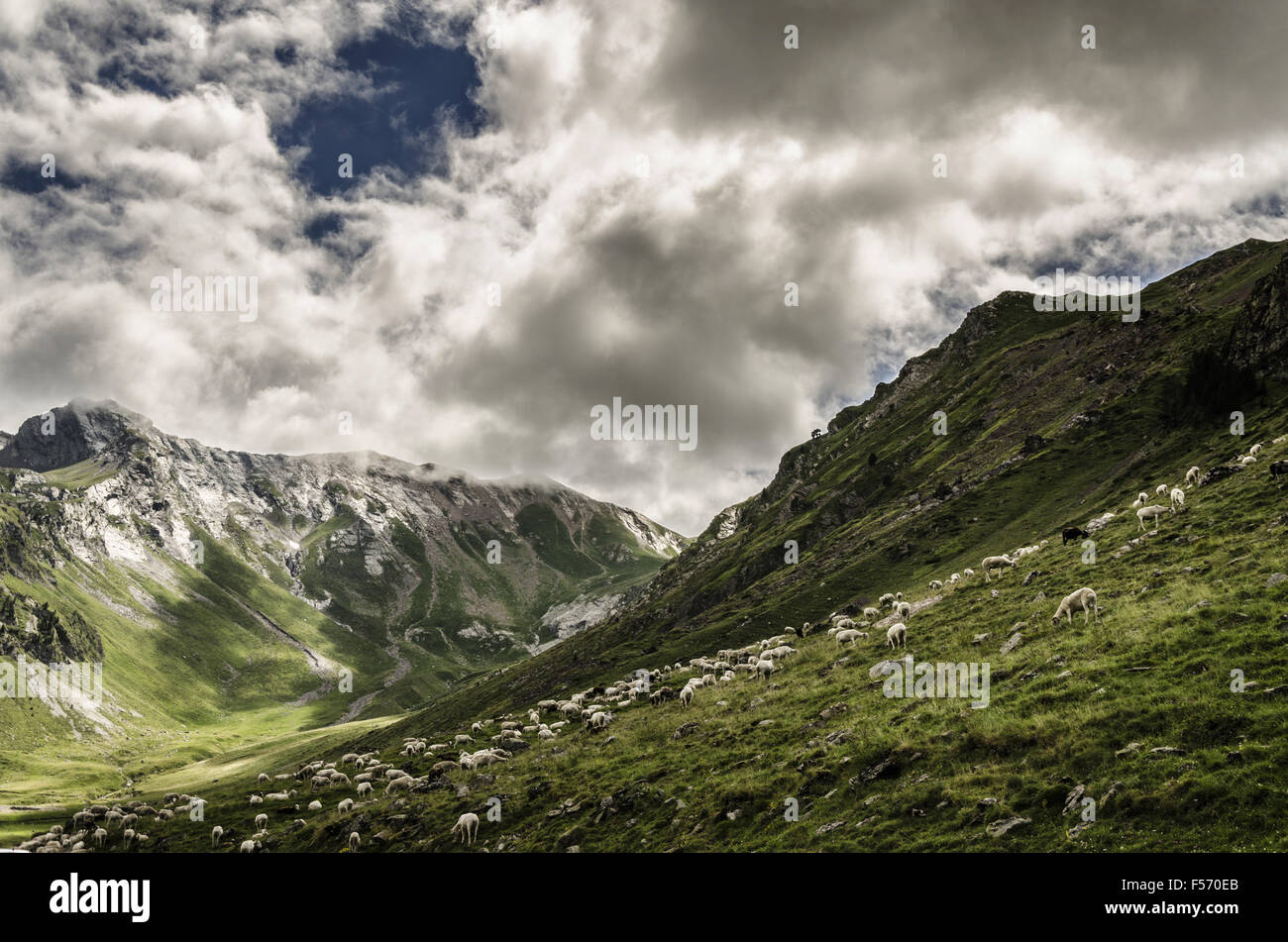 A picture from the valley in Pyrenees mountians Stock Photo - Alamy