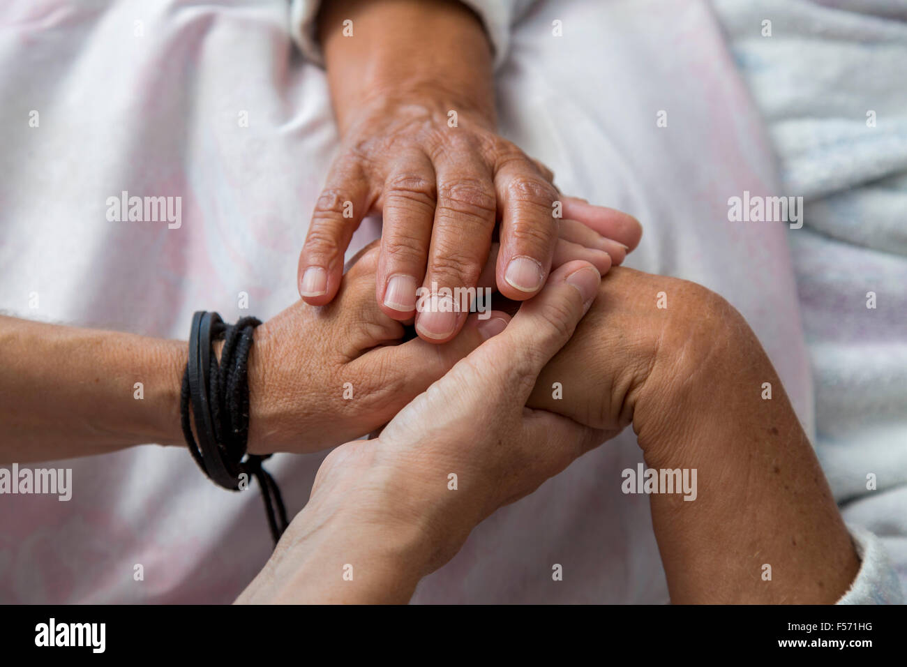 Elderly care at home, Nurse cares for an elderly woman, holding hands ...