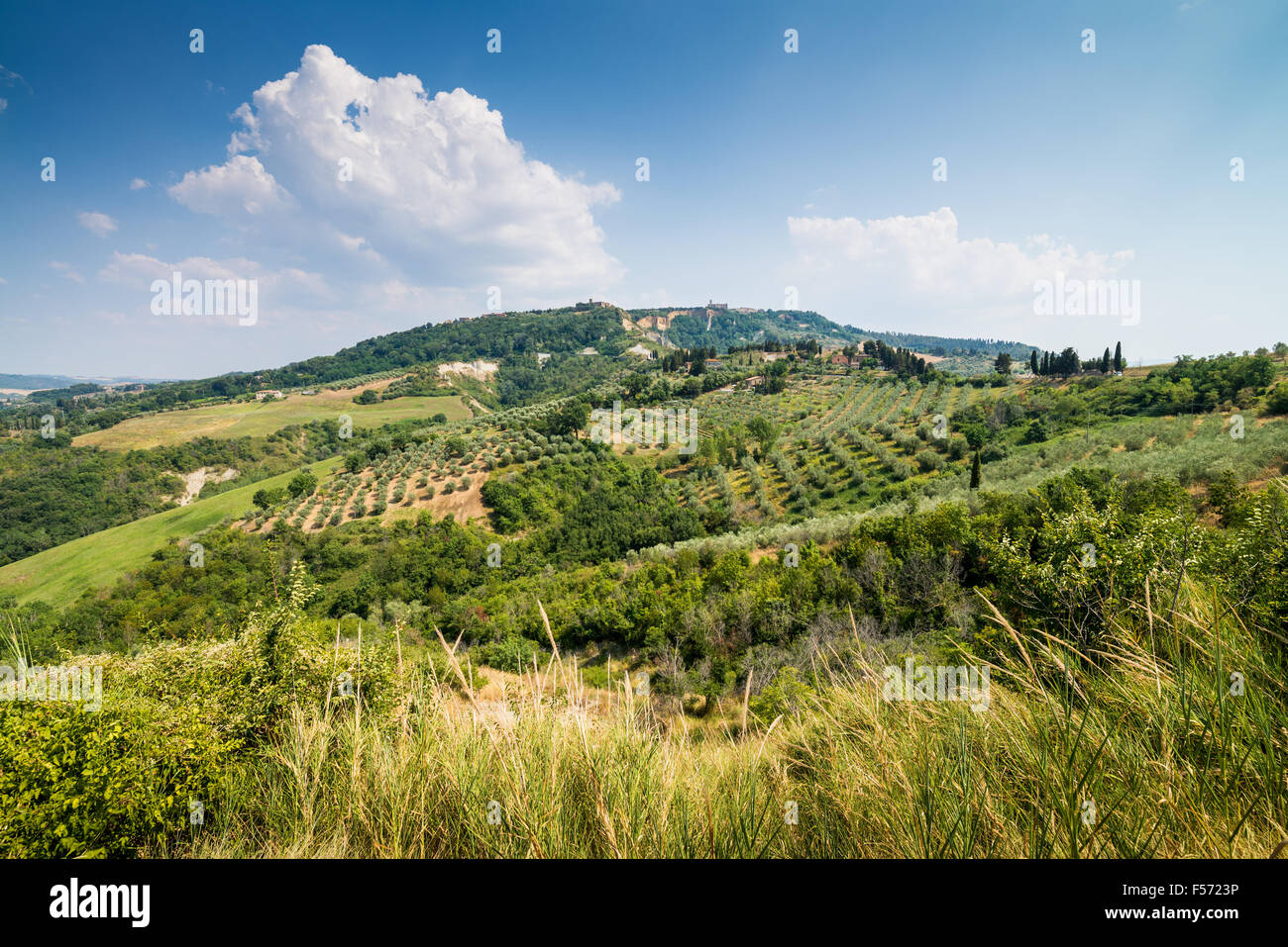 The volturi hi-res stock photography and images - Alamy