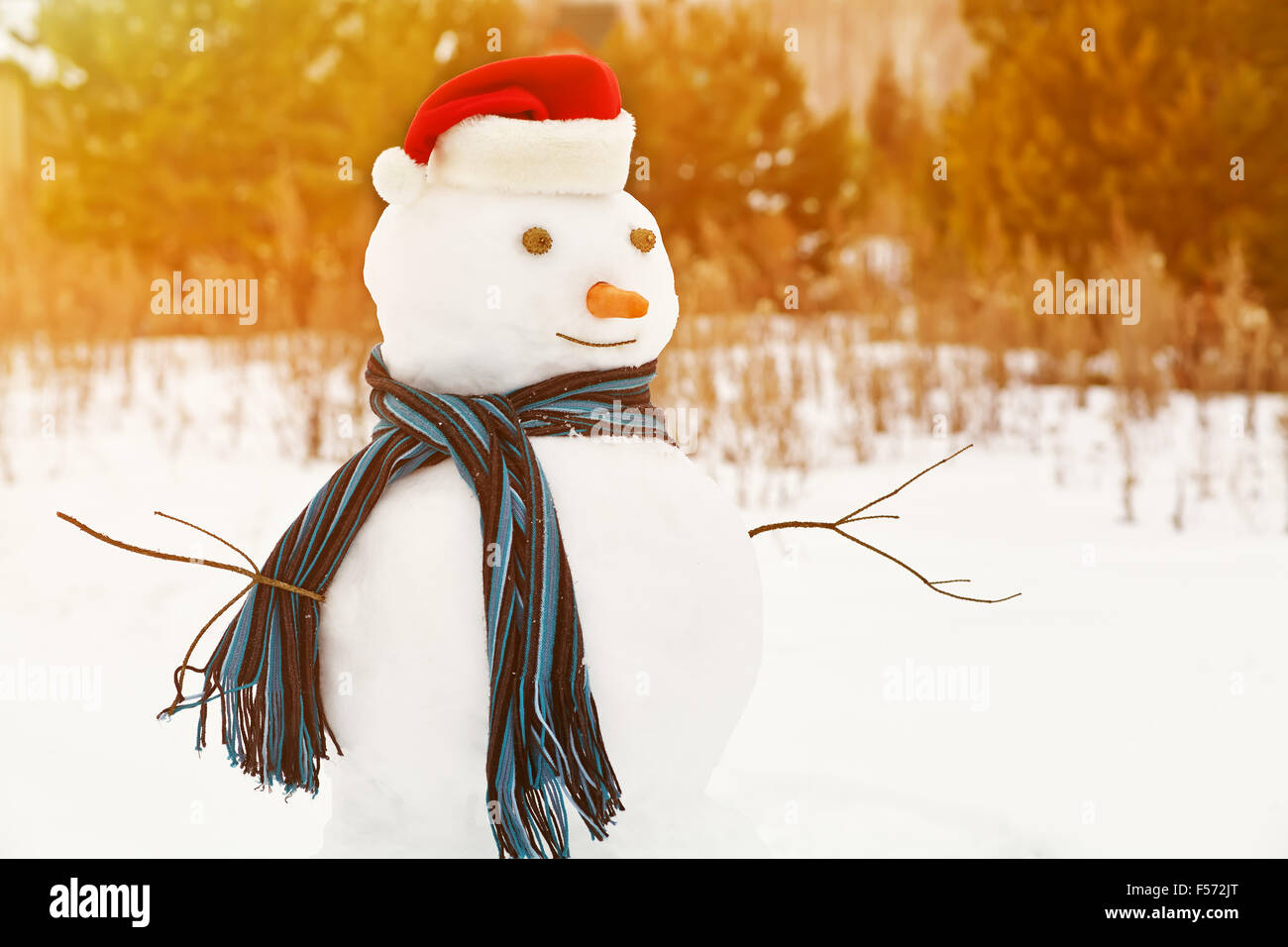 snowman in a forest Stock Photo - Alamy