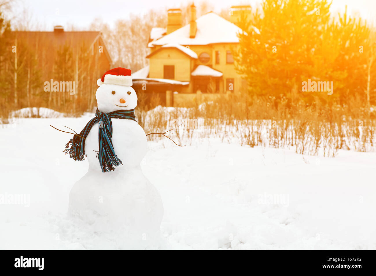 snowman in a forest Stock Photo - Alamy