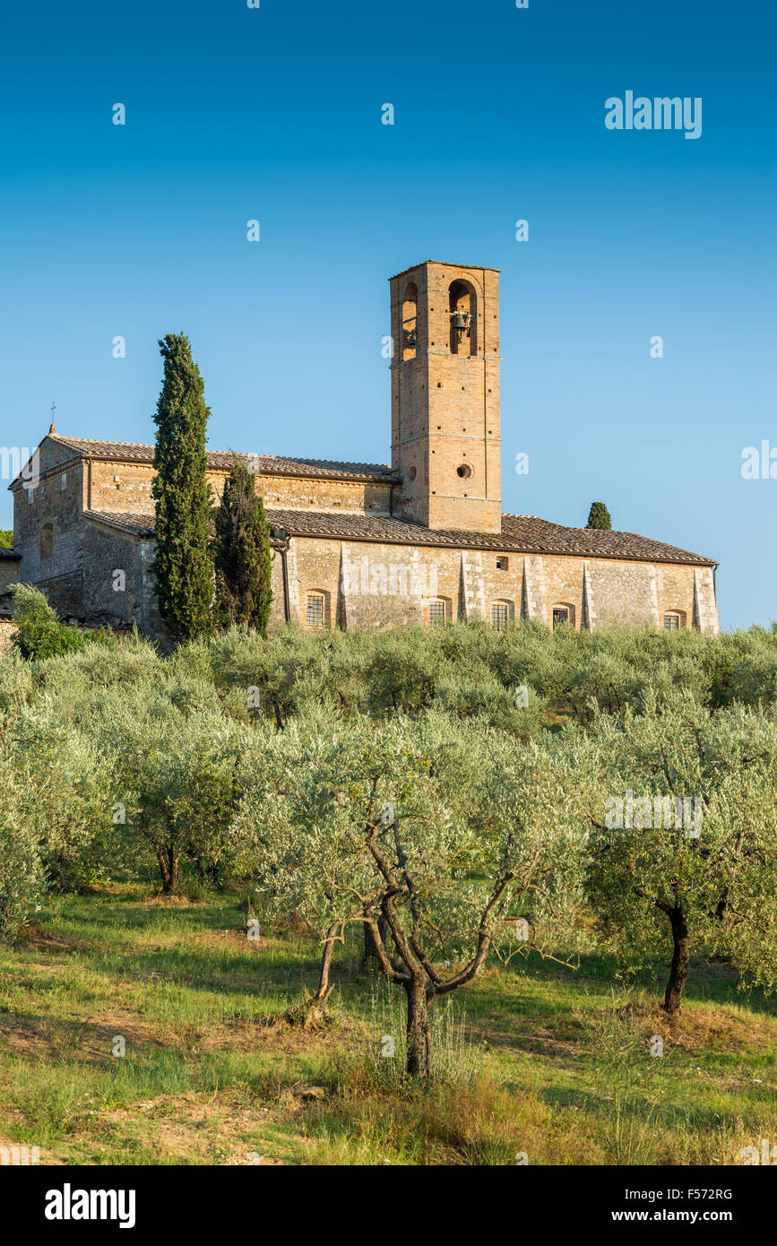 Agriculture Landscape near San Gimignano, Tuscany, Italy Stock Photo ...