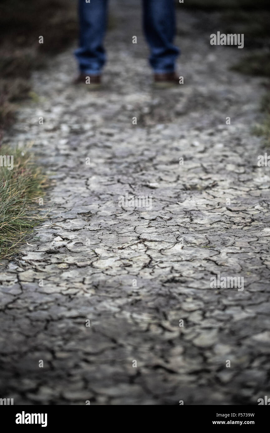Ground texture hi-res stock photography and images - Alamy