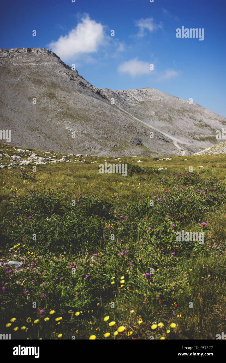 Oros olympos hi-res stock photography and images - Alamy