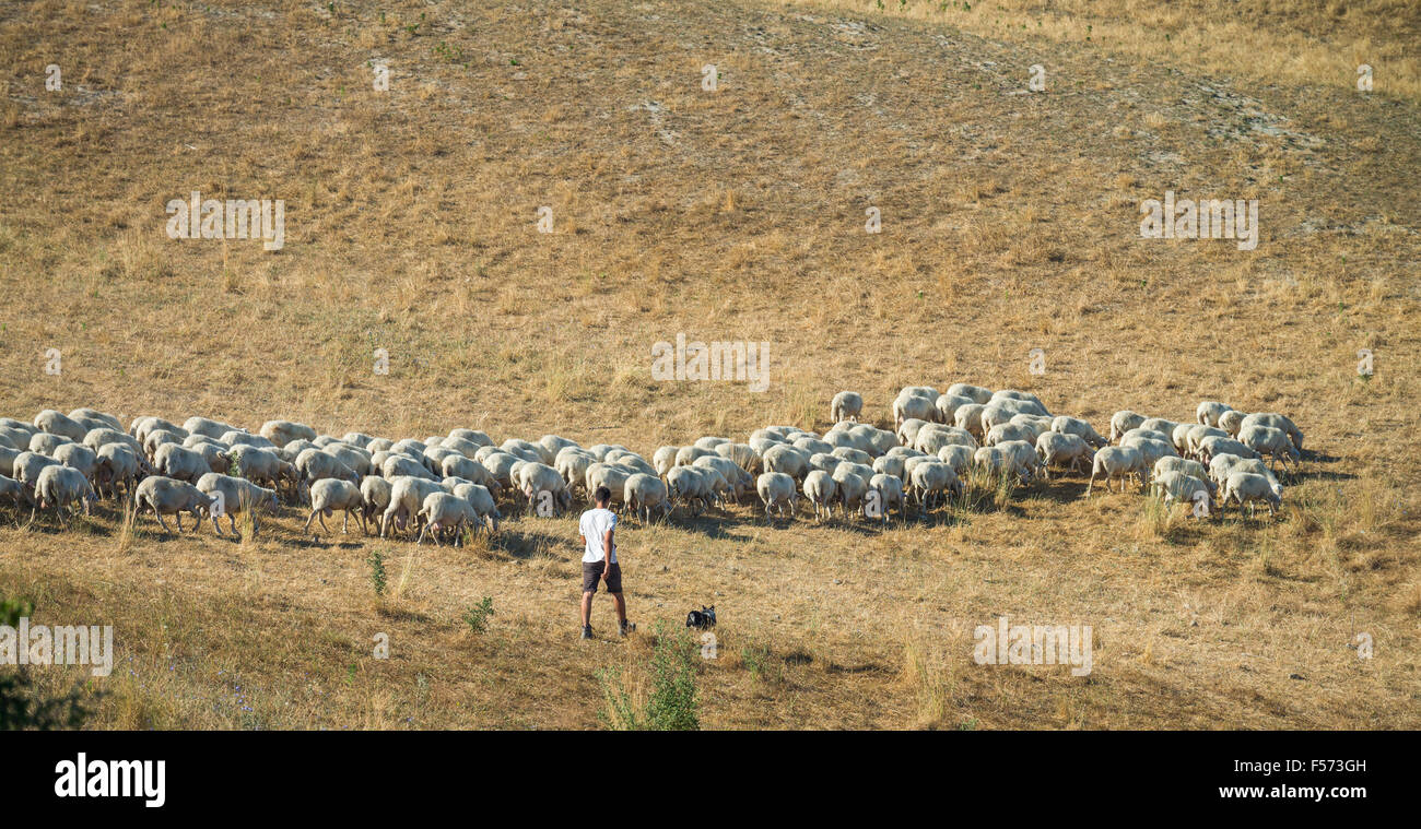 Domestic scene in tuscany hi-res stock photography and images - Alamy