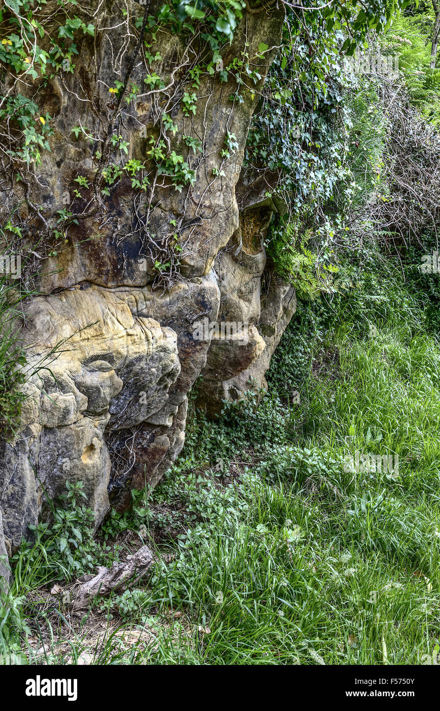 Very detailet rock texture in the forest Stock Photo - Alamy