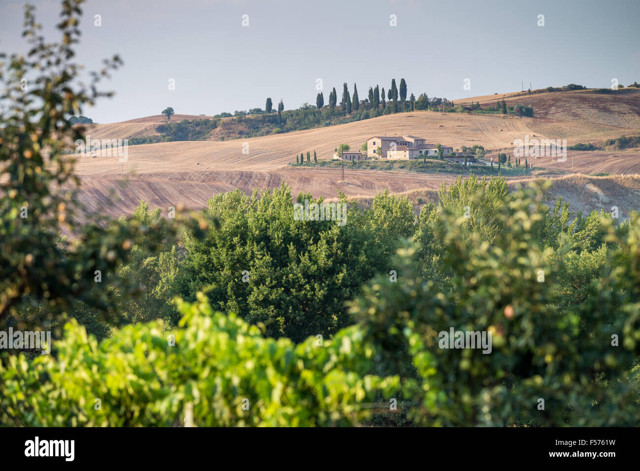 Countryside landscape in Tuscany region of Italy, Europe Stock Photo ...