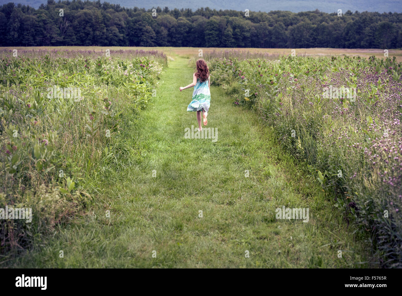 Girls running in a field hi-res stock photography and images - Alamy