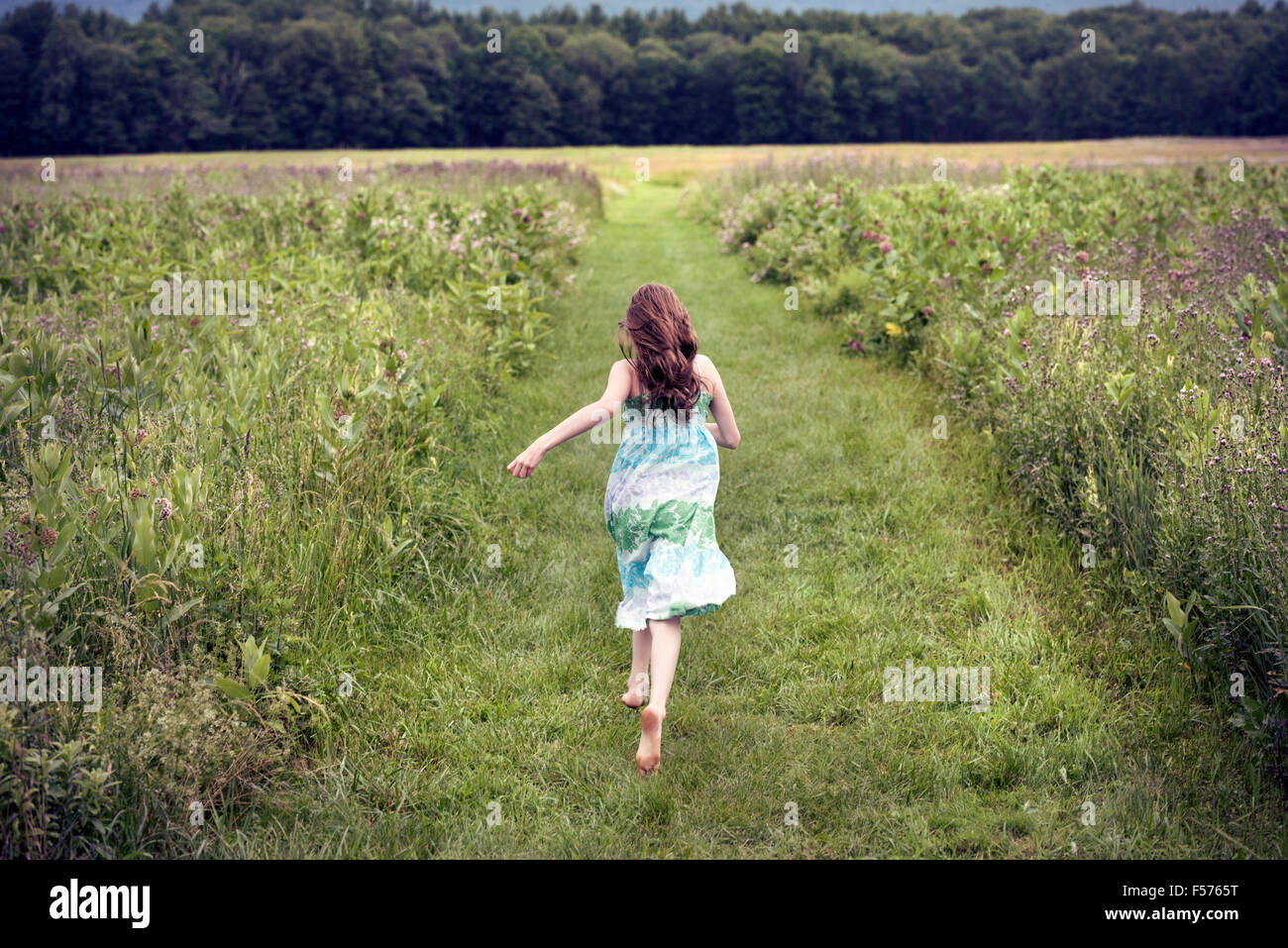 A girl running through a meadow in summer Stock Photo - Alamy