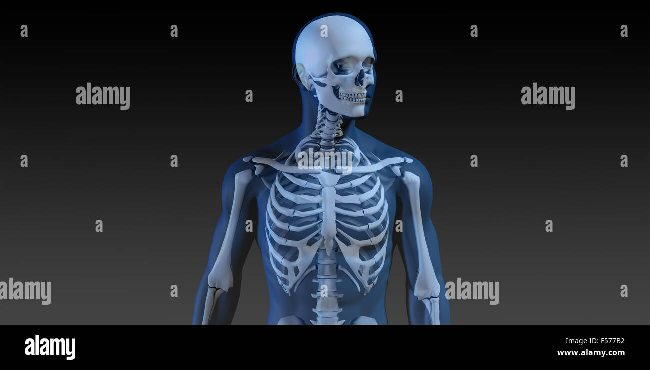 Male human skeleton hi-res stock photography and images - Alamy