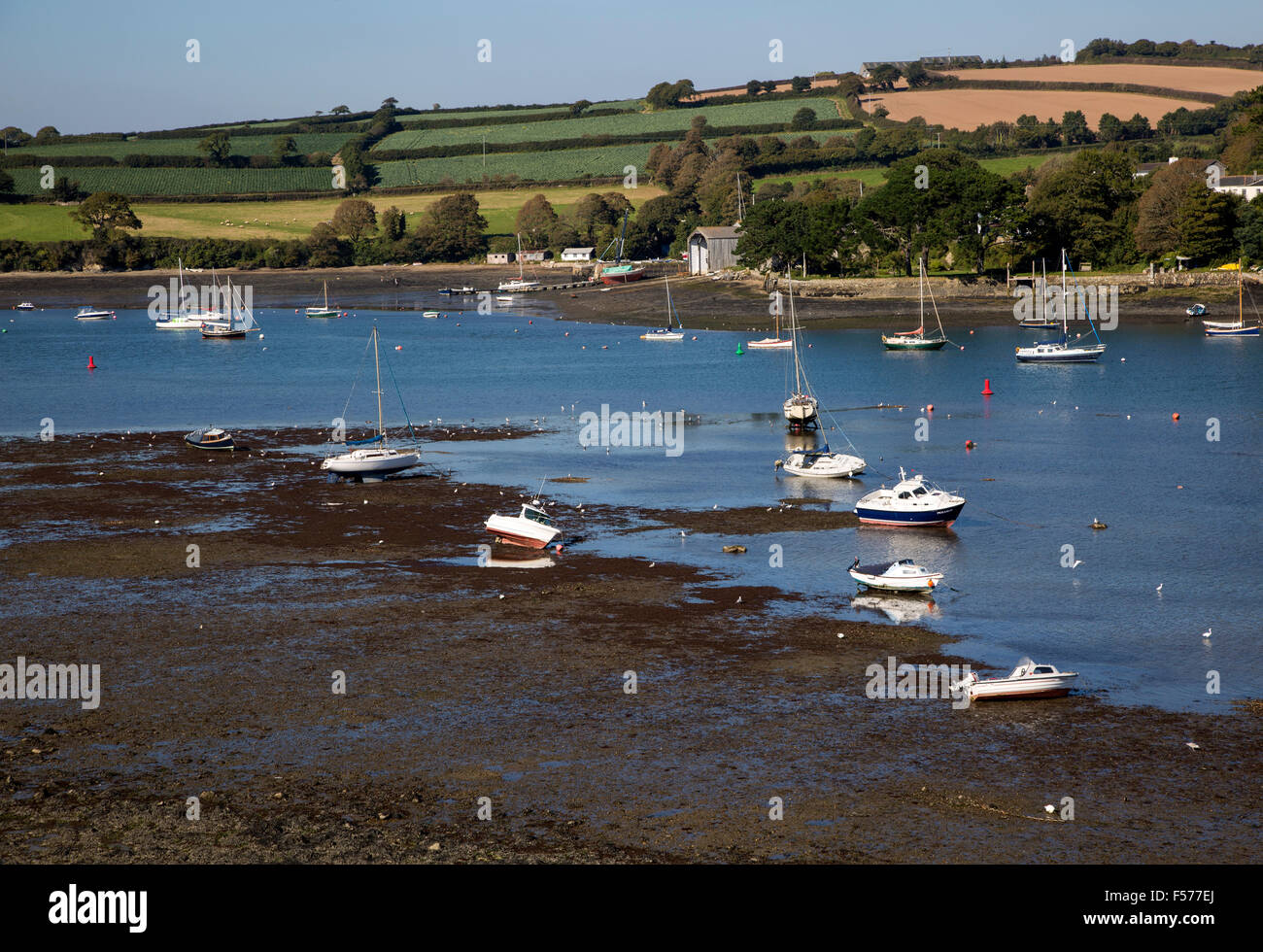 Yachts at moorings on River Fal, Flushing, Cornwall, England, UK Stock ...