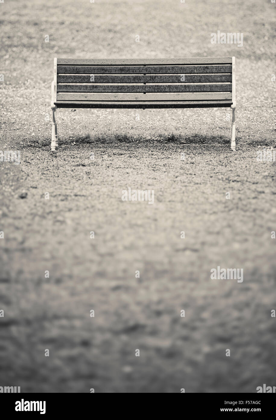Empty park benches hi-res stock photography and images - Alamy