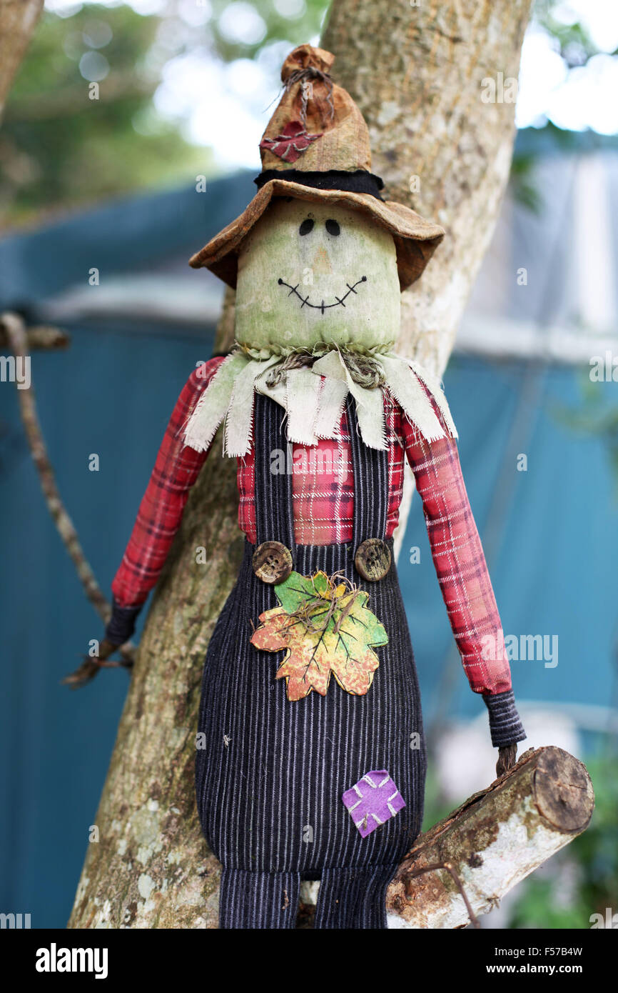 It's a photo of a smiling scarecrow make of different cloth and fabrics ...