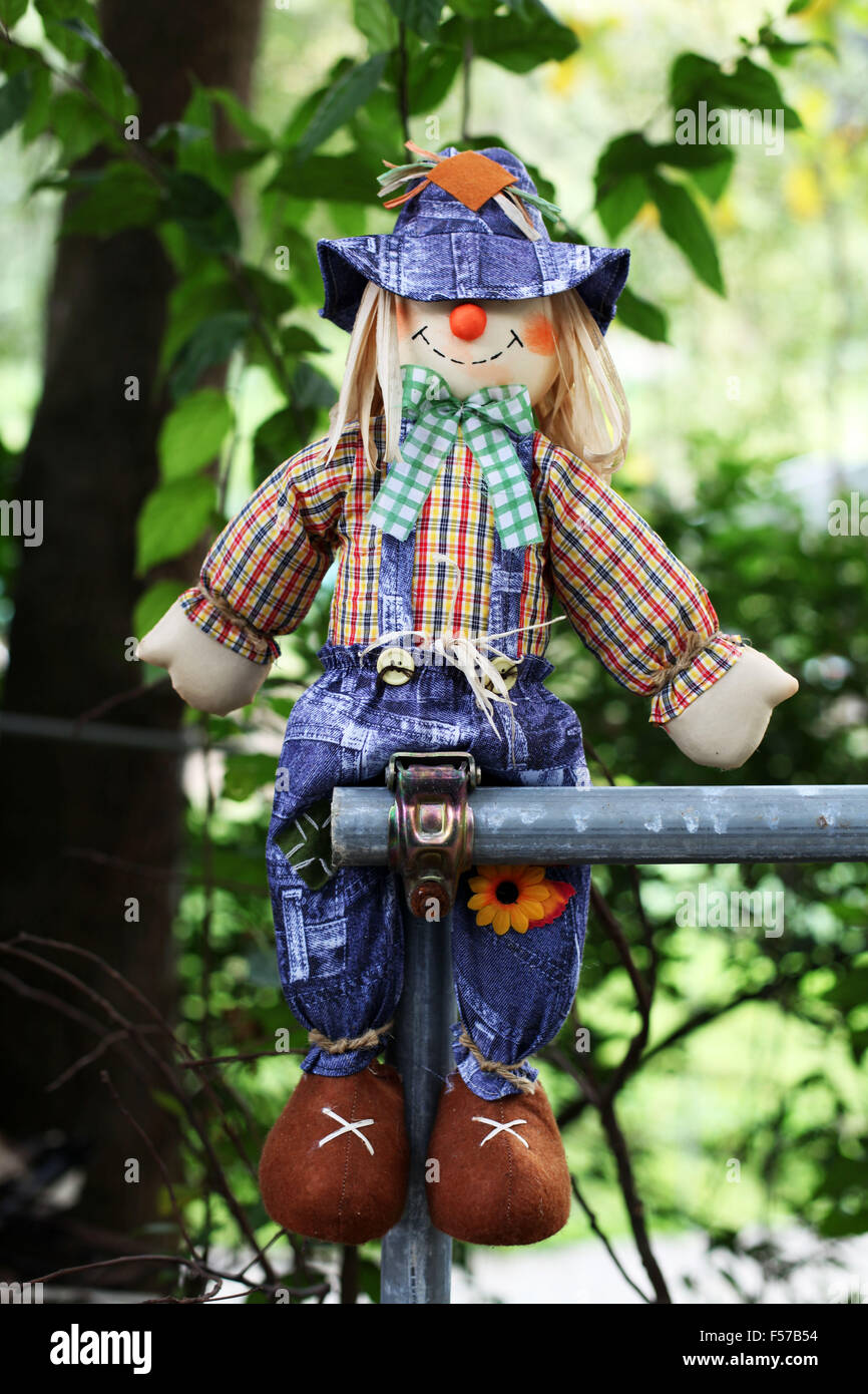 It's a photo of a smiling scarecrow make of different cloth and fabrics ...