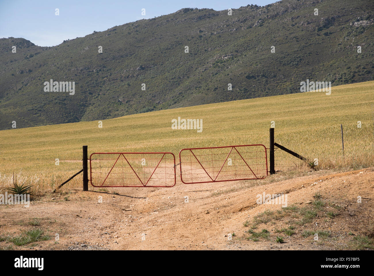 Pair of red coloured locked farm gates in the Swartland region of South ...