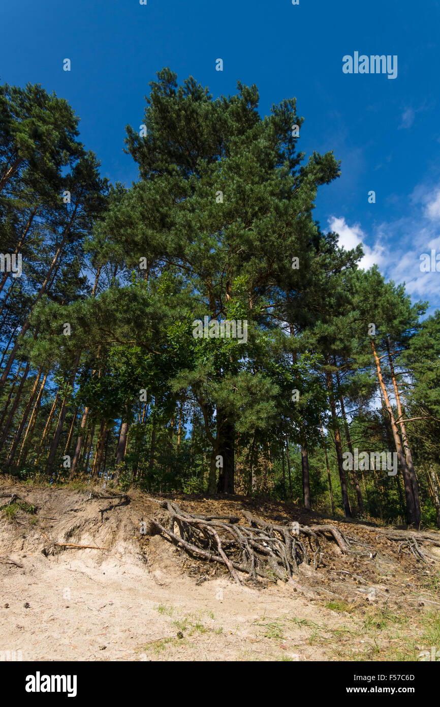 Protrude hi-res stock photography and images - Alamy