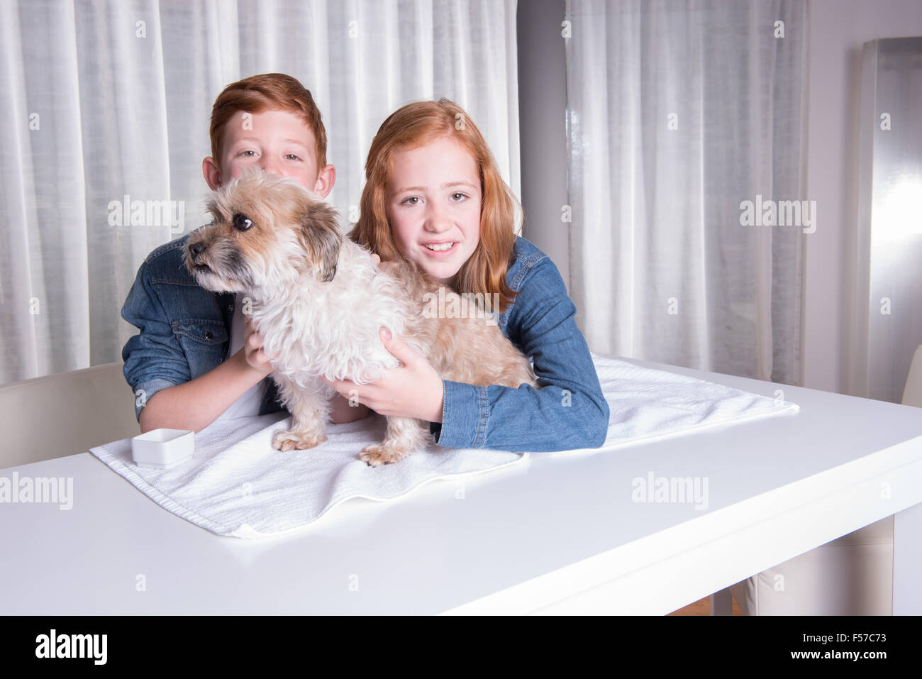 Children looking at dog hi-res stock photography and images - Alamy