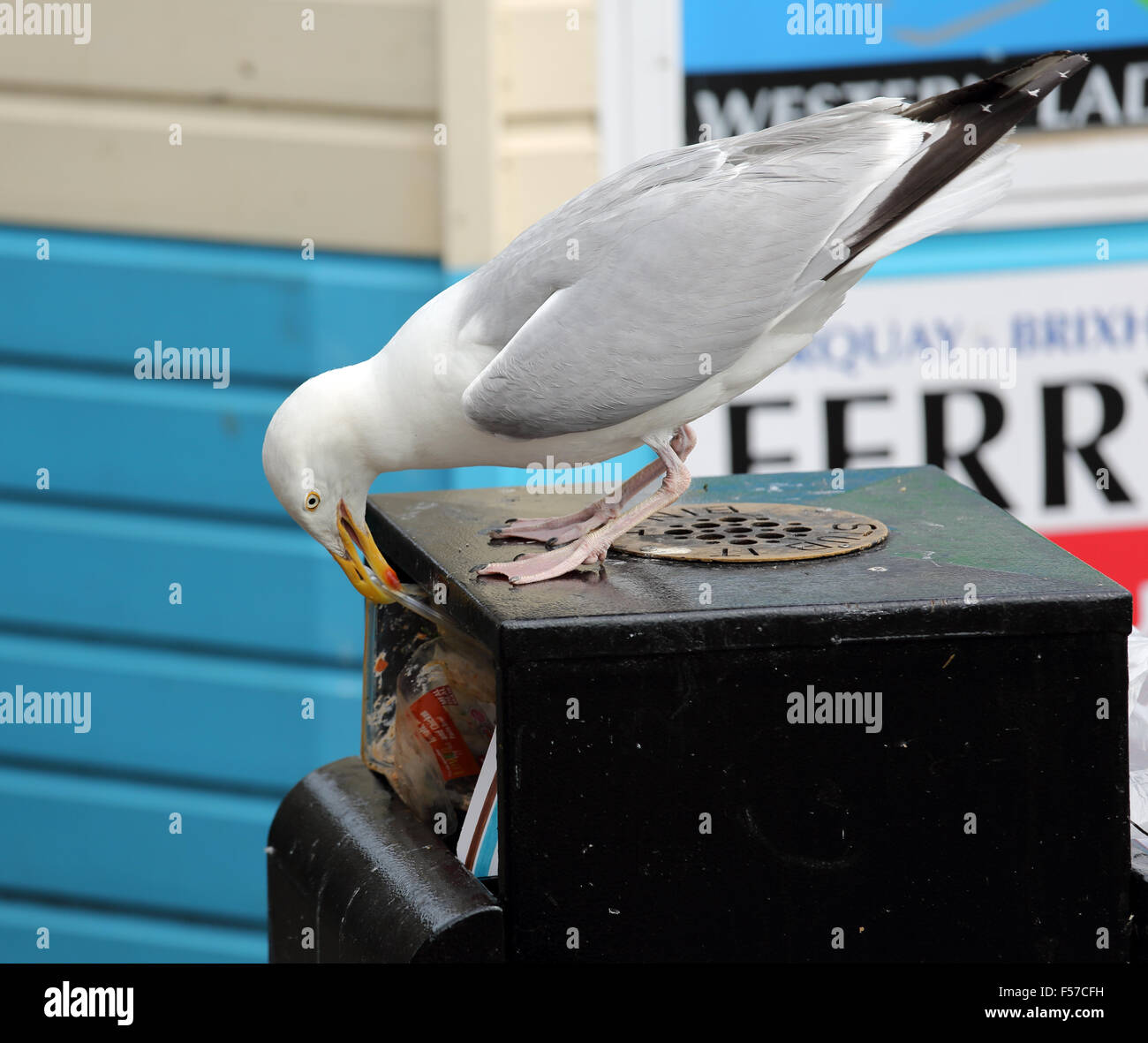 Find a bin hi-res stock photography and images - Alamy