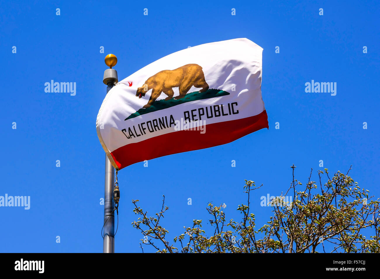California state flag hi-res stock photography and images - Alamy