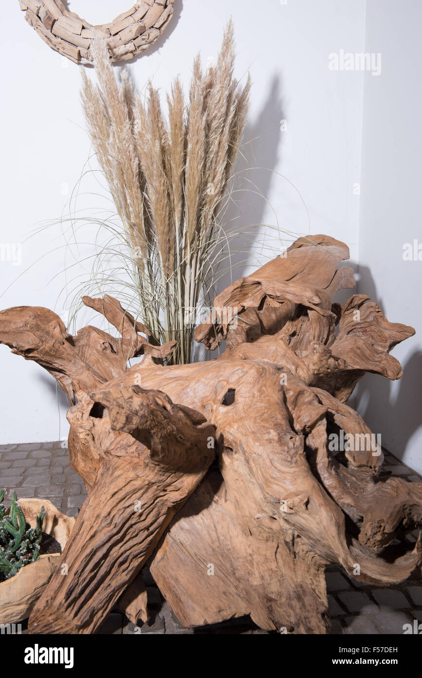 big root with grass as decoration for thanksgiving Stock Photo - Alamy