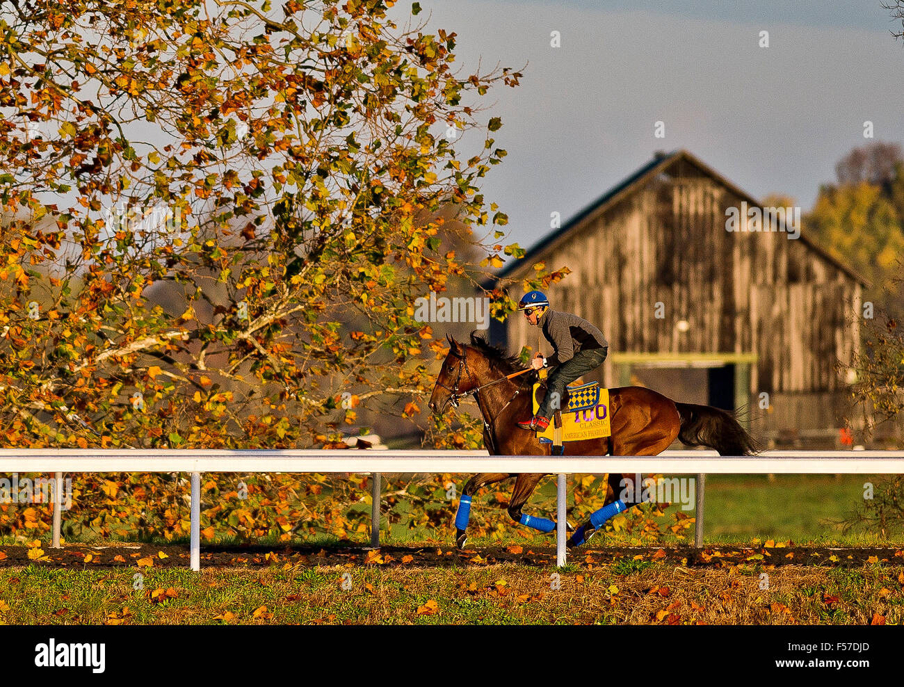 Lexington, Kentucky, USA. 29th Oct, 2015. October 29, 2015 : American ...
