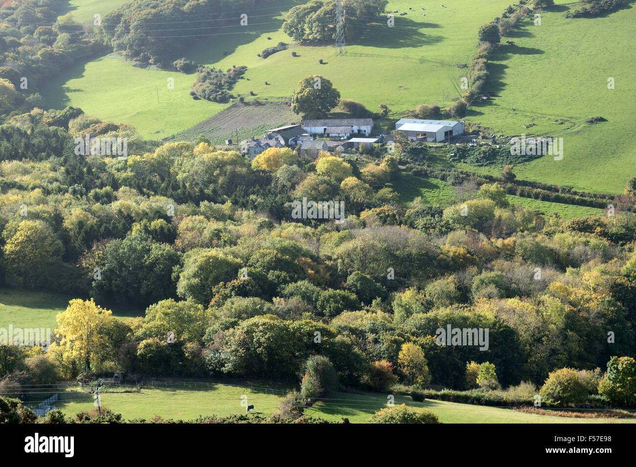 Woodland wales farm hi-res stock photography and images - Alamy