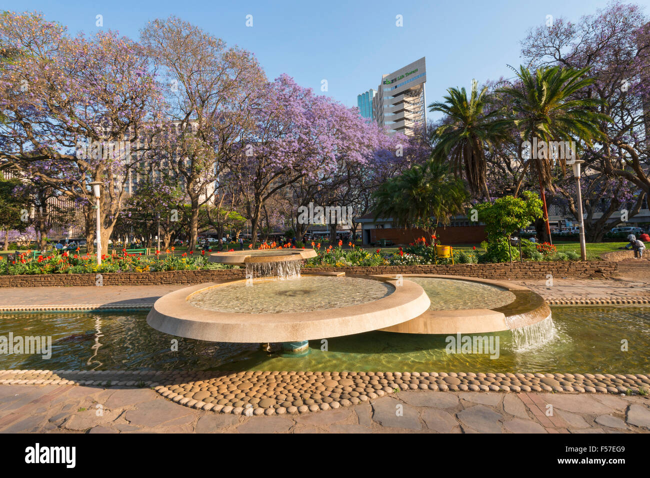 The colourful city centre of Harare, Zimbabwe Stock Photo - Alamy