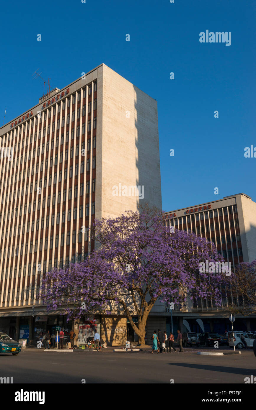 Harare jacaranda hi-res stock photography and images - Alamy