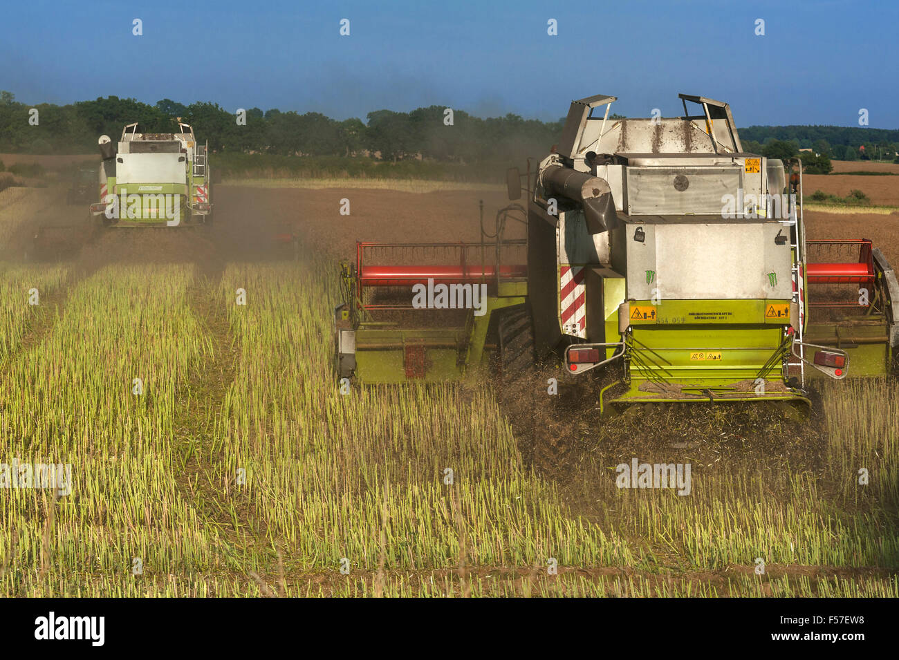 Combine harvesters threshing rapeseed hi-res stock photography and ...
