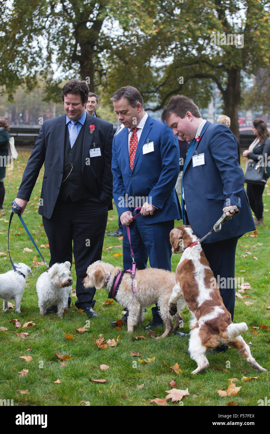 Nigel adams hi-res stock photography and images - Alamy