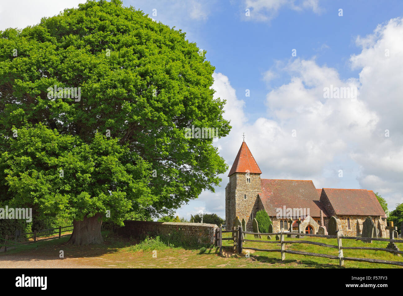 Oak tree by St Laurence Church Guestling East Sussex England UK Stock ...