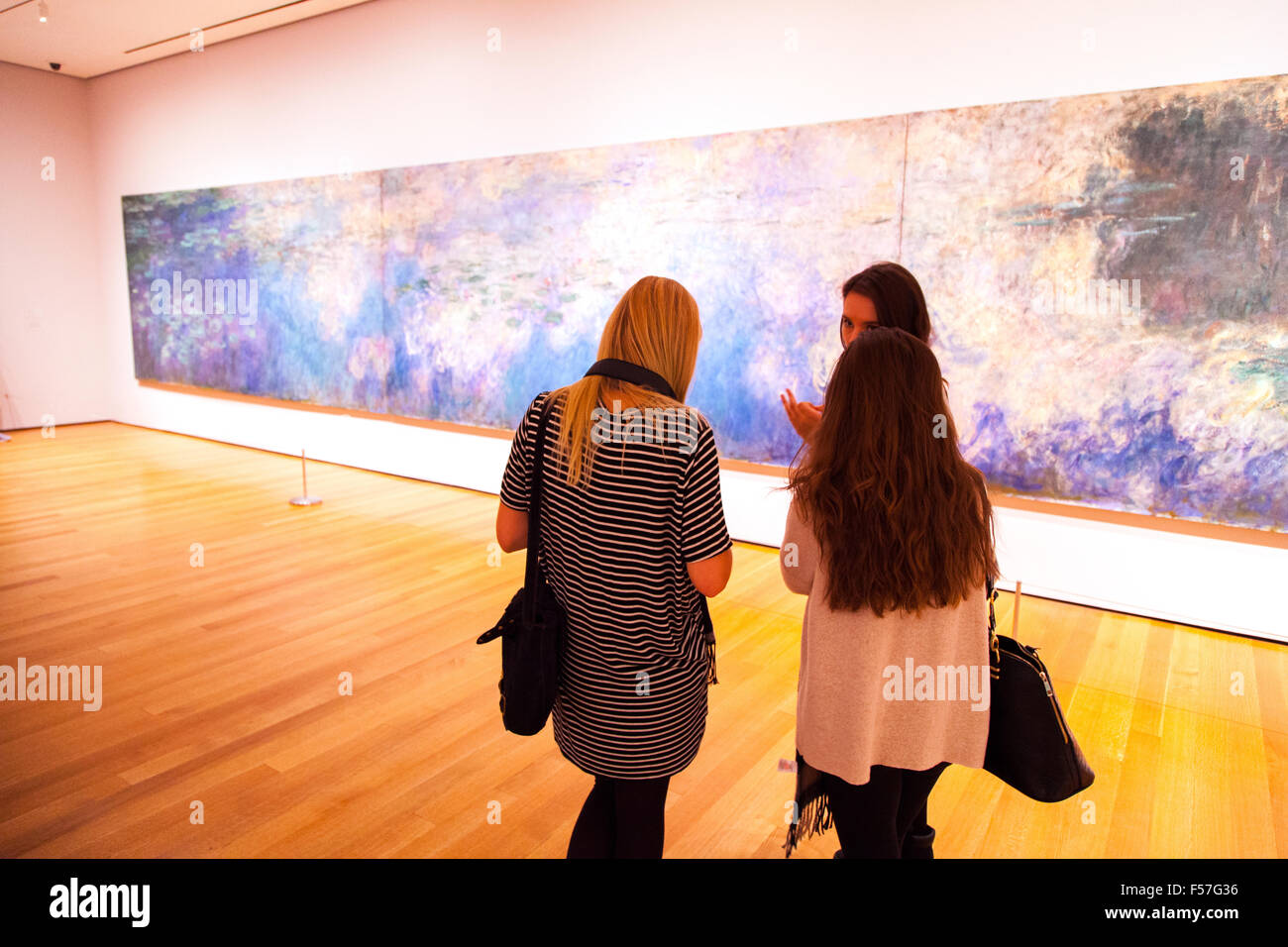 Claude Monet Water Lilies Moma