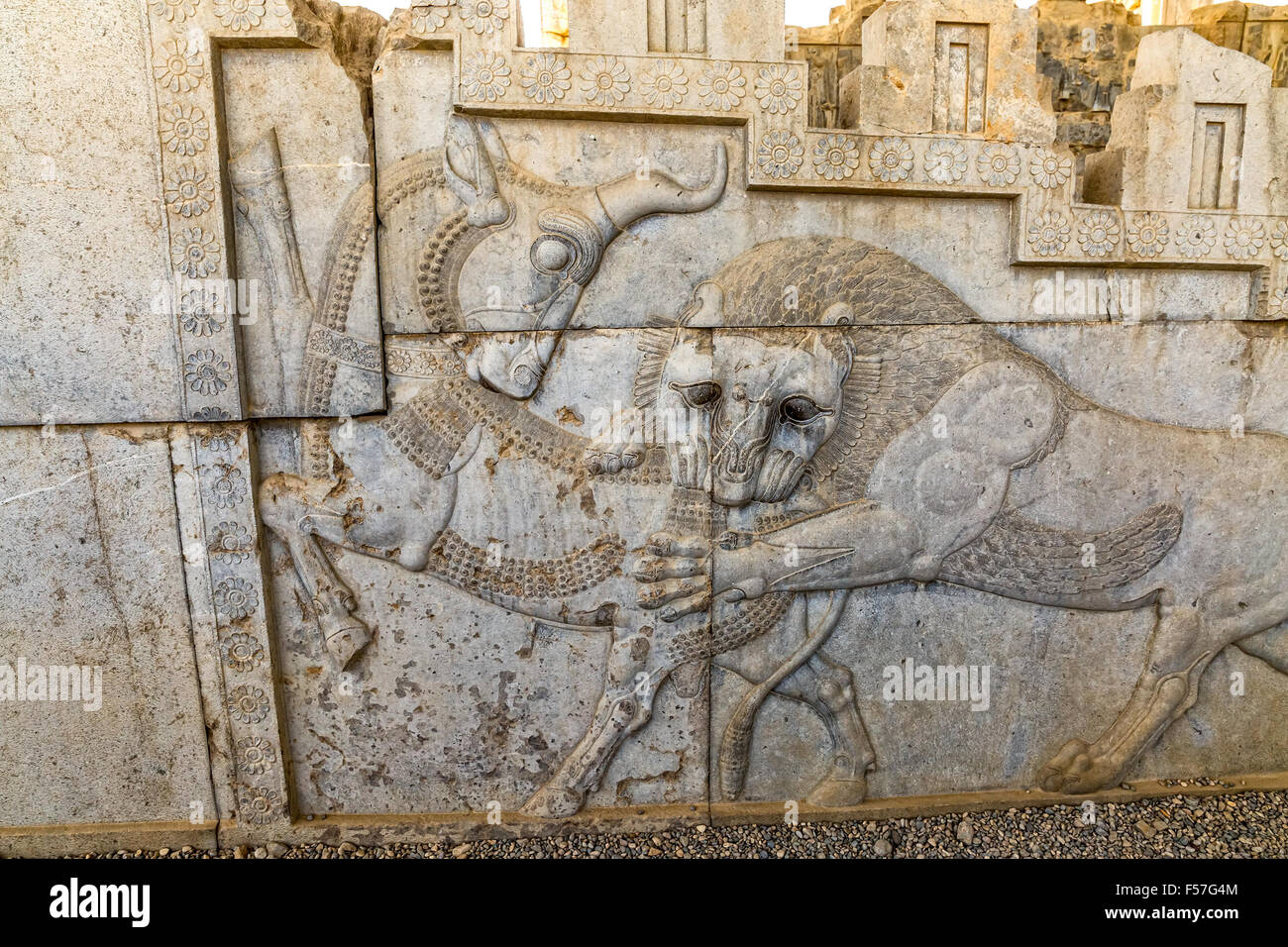 Persepolis lion and bull hi-res stock photography and images - Alamy