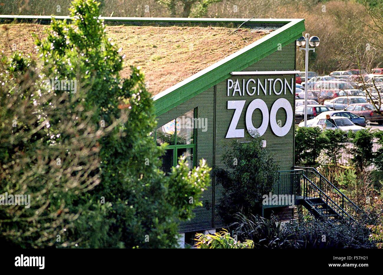 Paignton Zoo, Devon, UK. 29th October, 2015. A great ape was left far ...