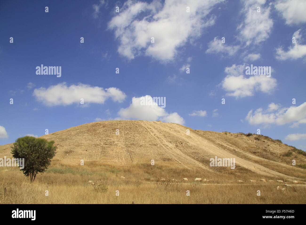 Israel, Tel Gamma in the Northern Negev, site of the Canaanite city ...