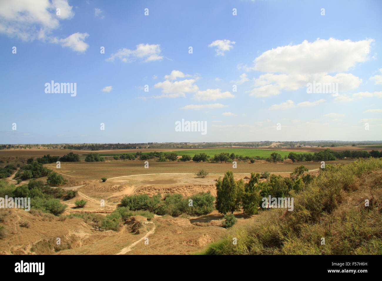Israel, Northern Negev, a view of Nahal Besor from Tel Gamma Stock ...