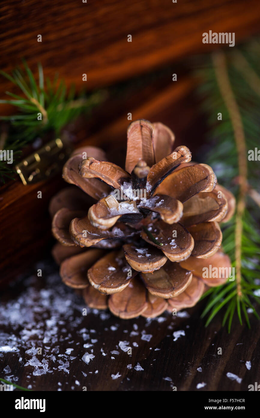 Beautiful fir hi-res stock photography and images - Alamy