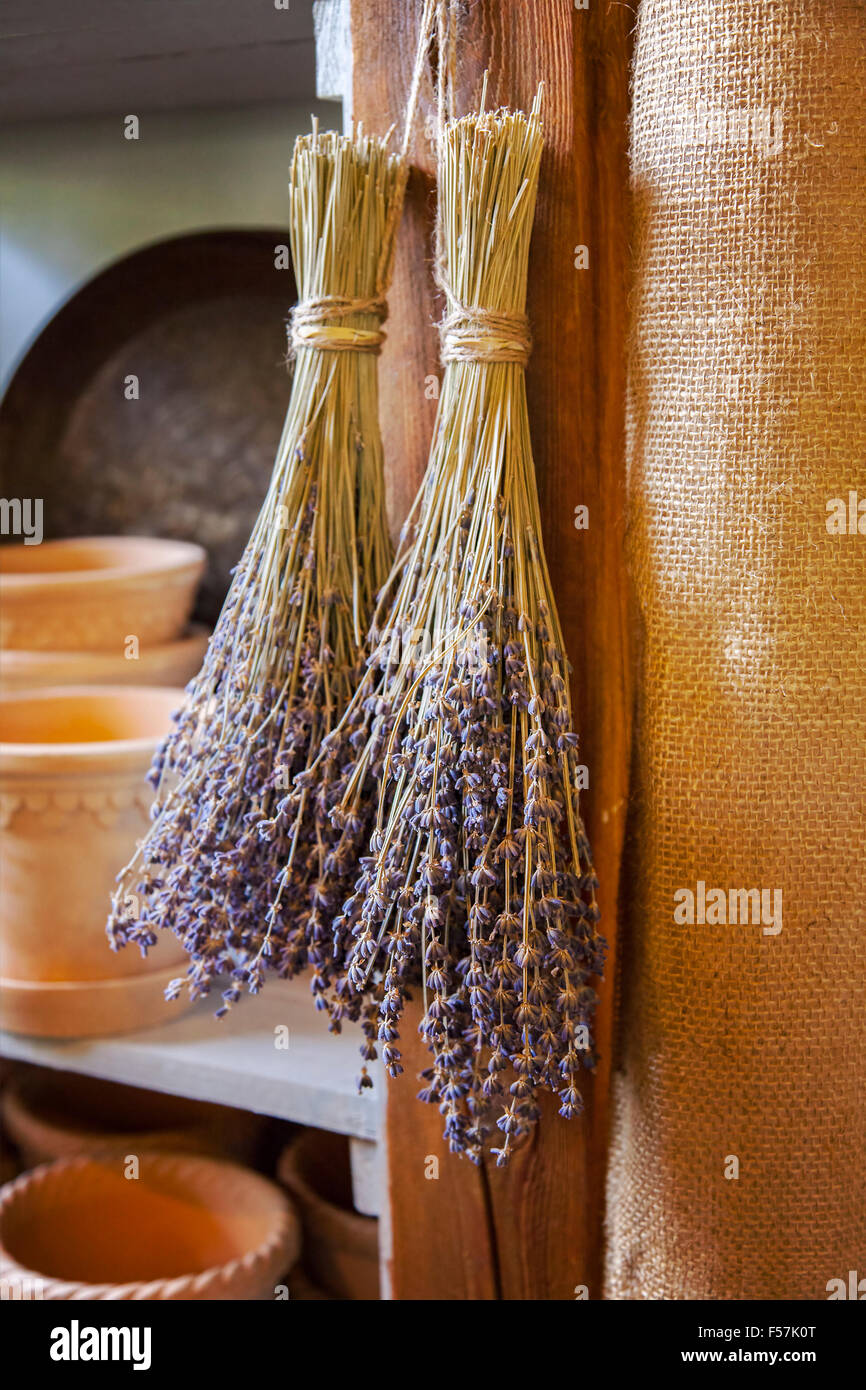 Hanging lavender bunches hi-res stock photography and images - Alamy