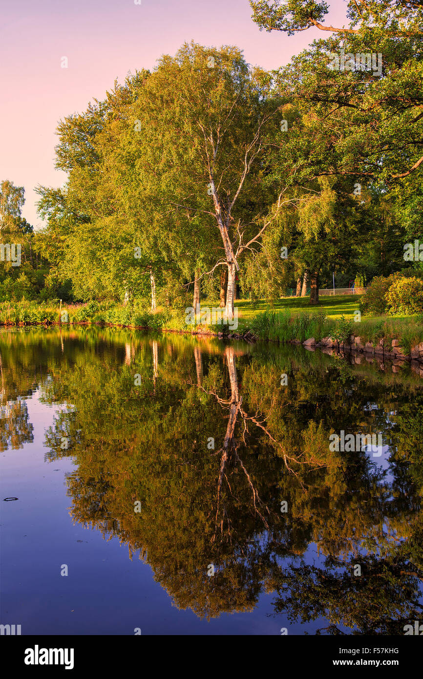 Trees reflecting in water hi-res stock photography and images - Alamy