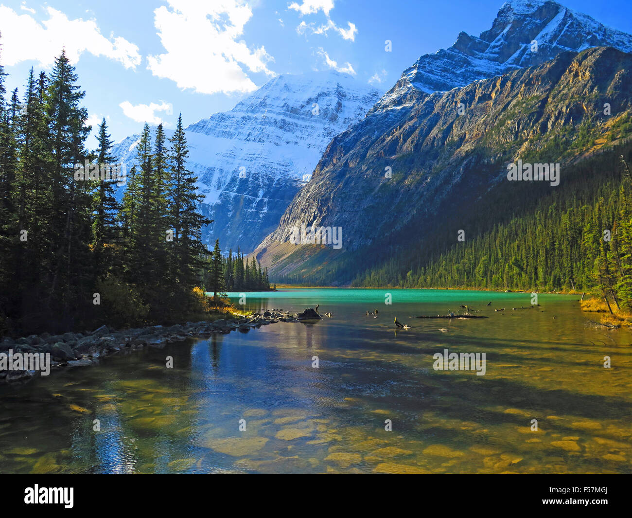 Cavell Lake, Jasper National Park Stock Photo - Alamy