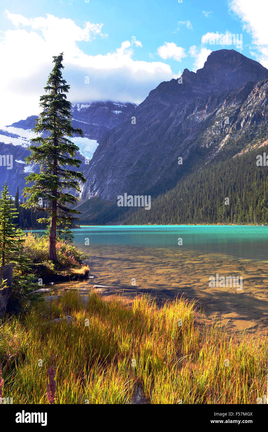 Cavell Lake, Jasper National Park, Alberta, Canada Stock Photo - Alamy