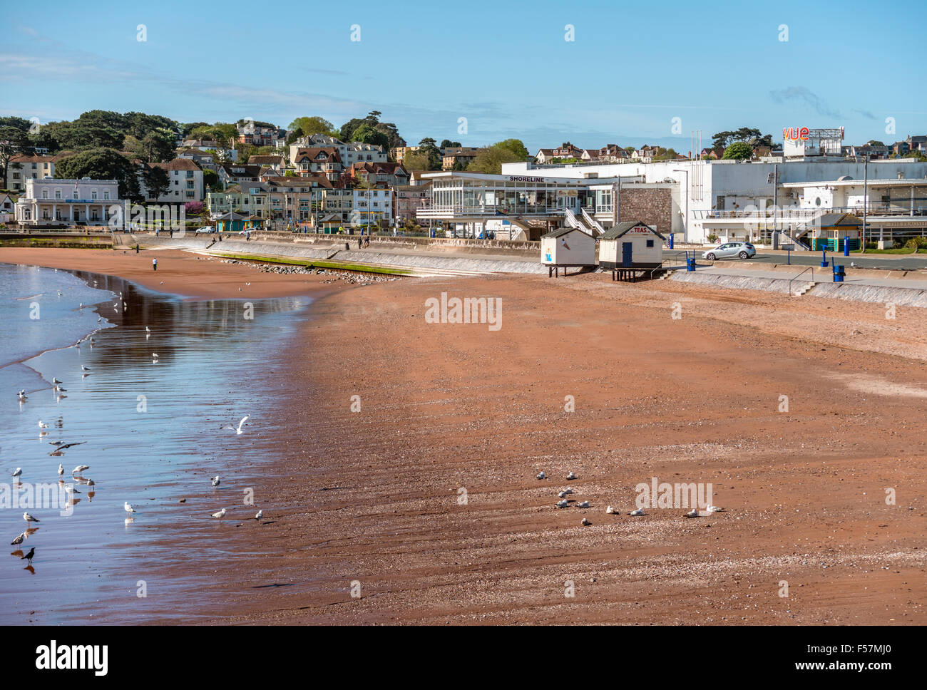 Devon uk beach england hi-res stock photography and images - Alamy