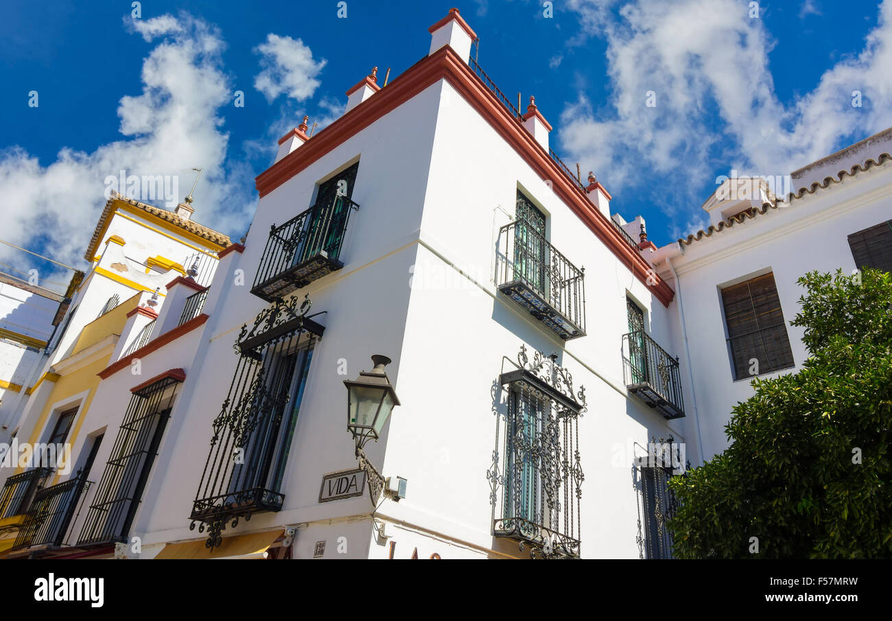 beautiful streets full of typical color of the Andalusian city of ...