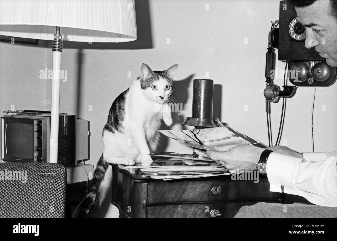 Der deutsche Schauspieler und Moderator Helli Pagel mit Fernsehgerät ...