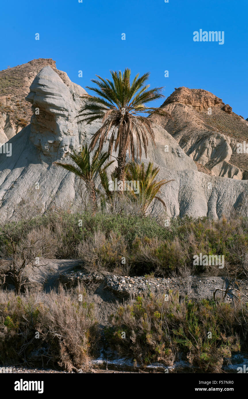 Natural Spot Tabernas Desert, Almeria province, Region of Andalusia ...