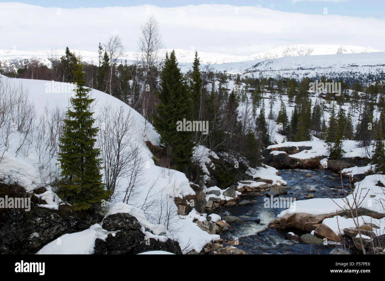 Little stream in spring time with mountain in background, from the ...